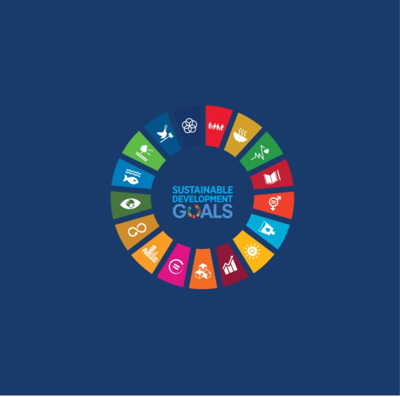 Nachhaltigkeit UN SDG goals | NNZ Germany